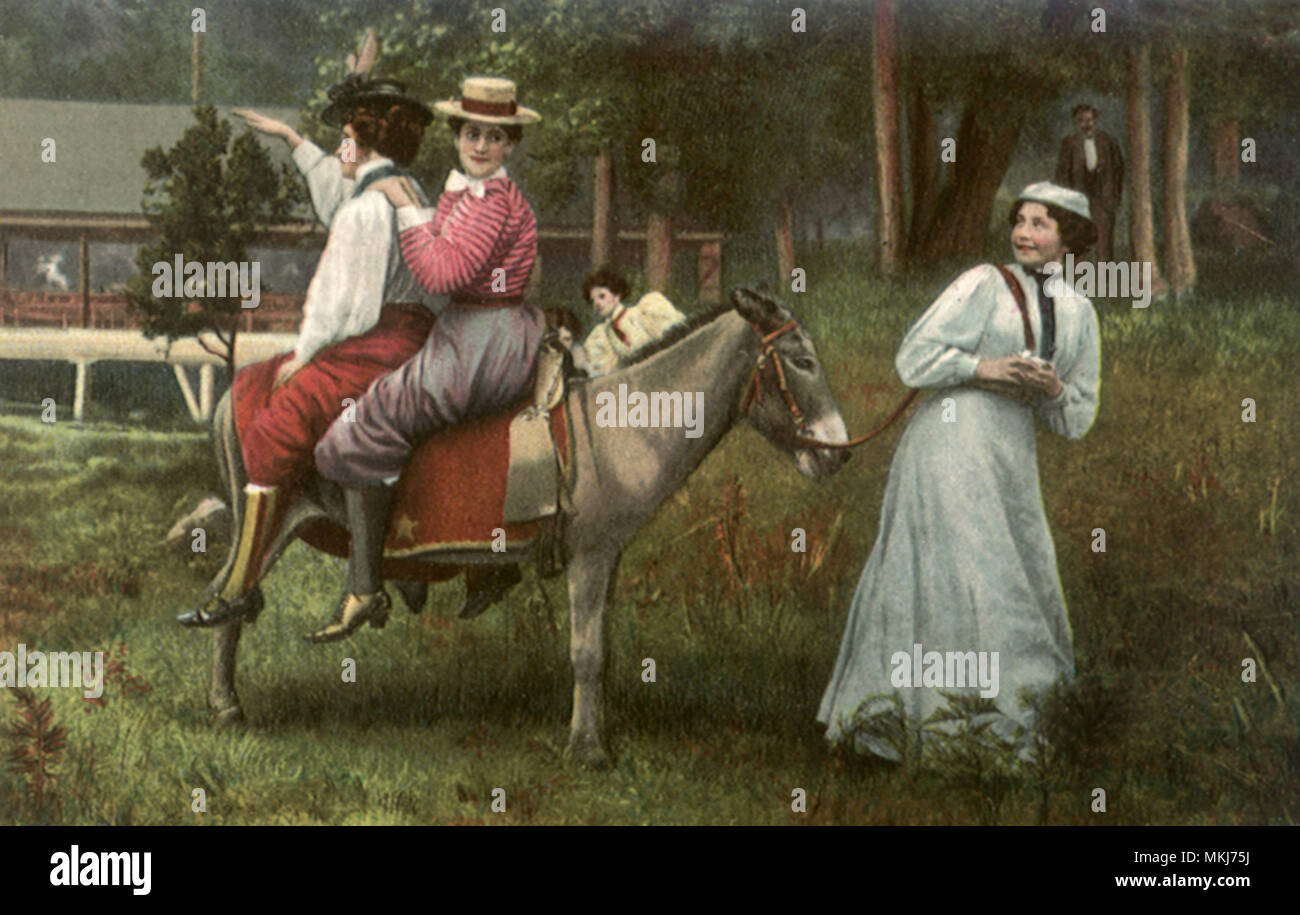 Comedy donkey hi-res stock photography and images - Alamy