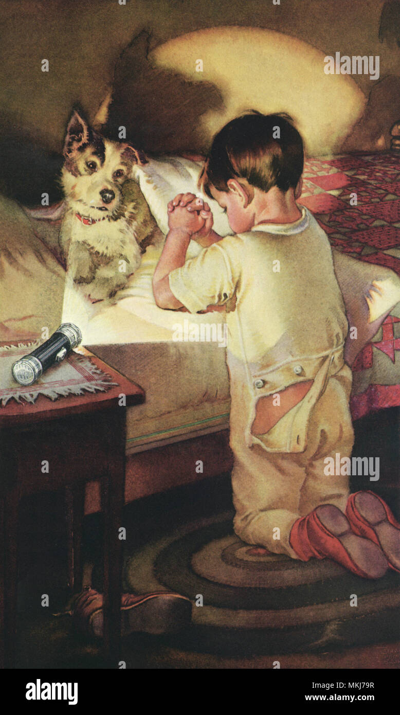 A Dogs Prayer At Old Age