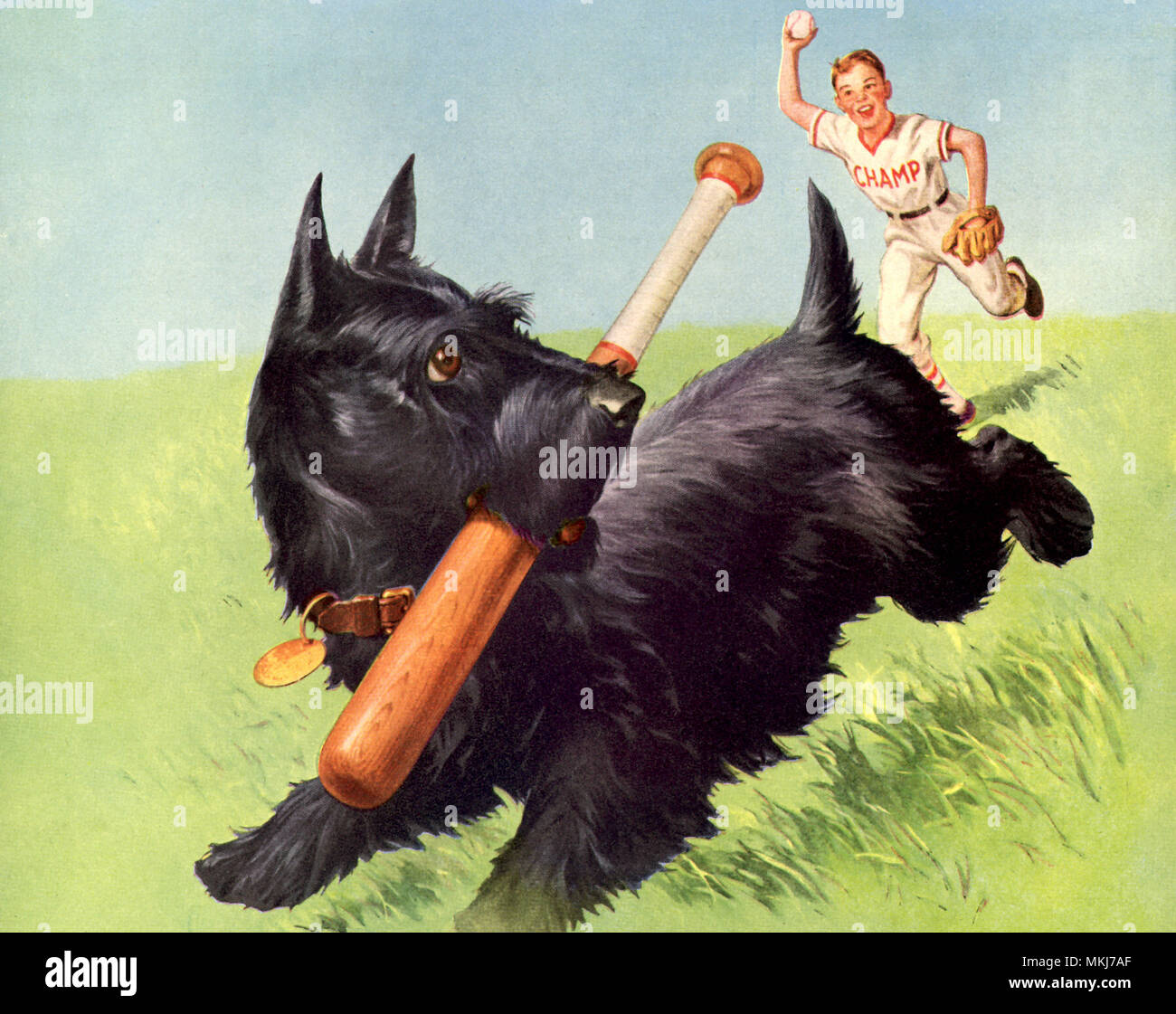 Dog Running with Bat Stock Photo - Alamy