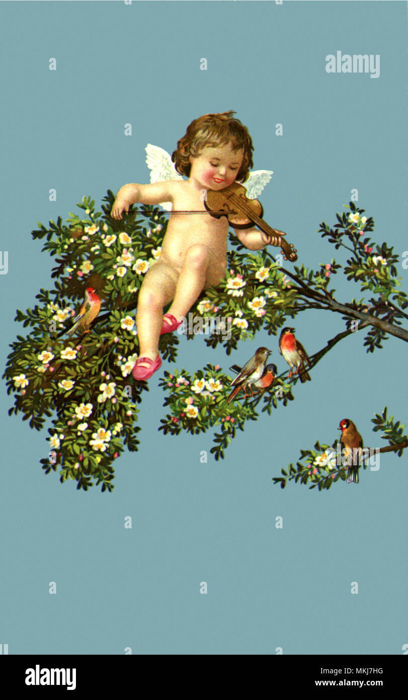 Cherub Playing Violin Stock Photo - Alamy