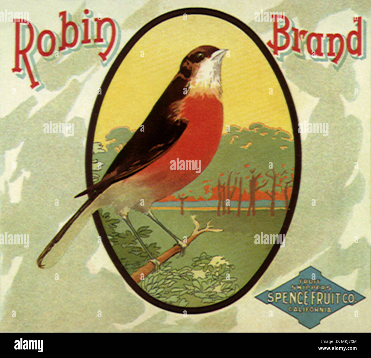 Robin on Branch Label Stock Photo - Alamy