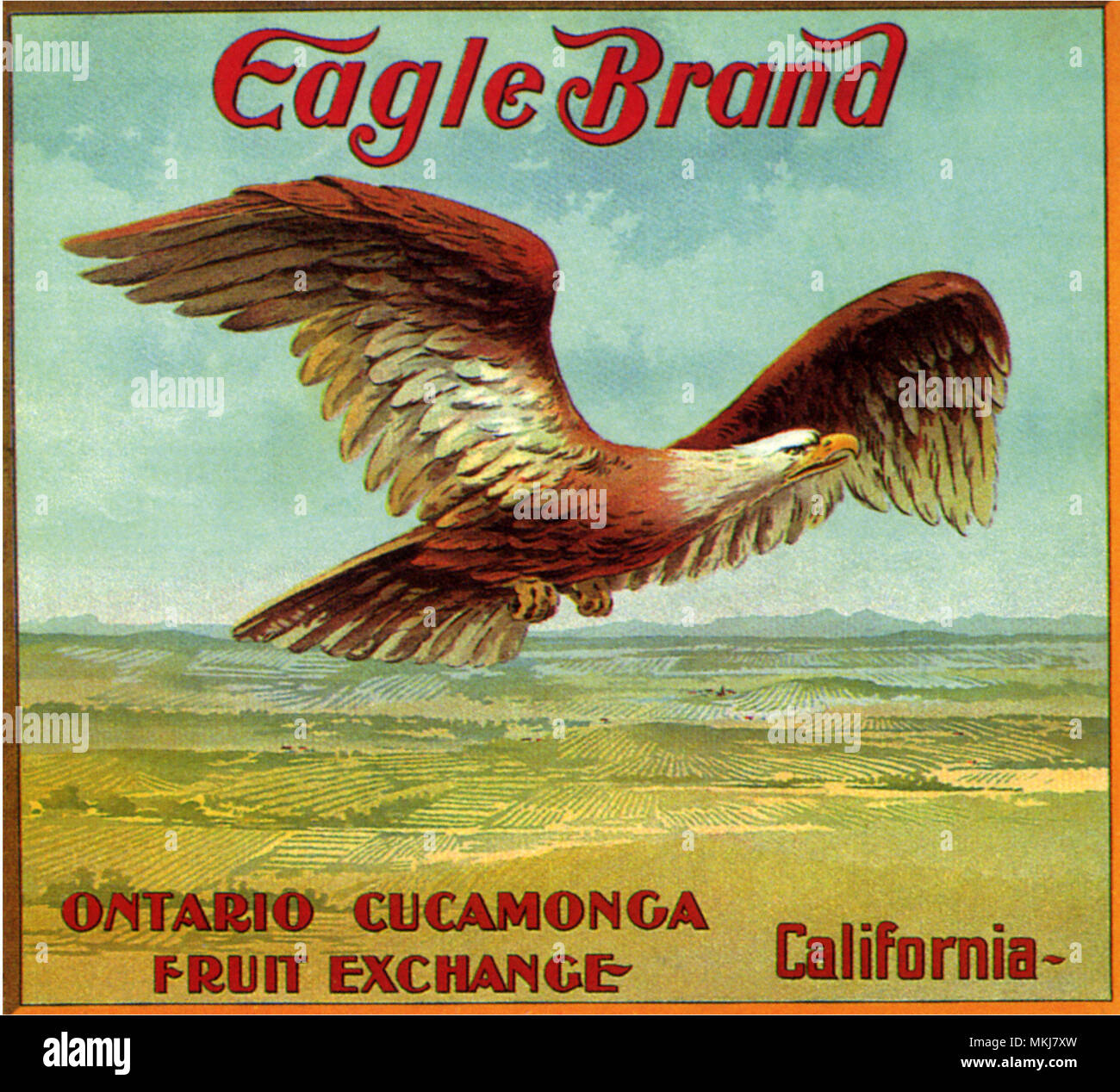 Vintage eagle flying hi-res stock photography and images - Alamy