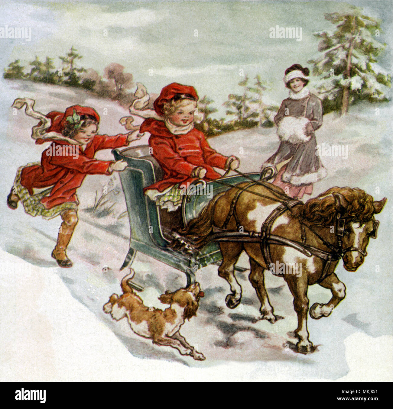 Dog and pony hi-res stock photography and images - Alamy