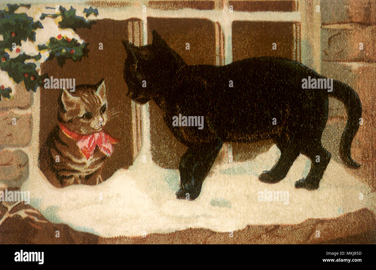 Visiting cat hi-res stock photography and images - Alamy