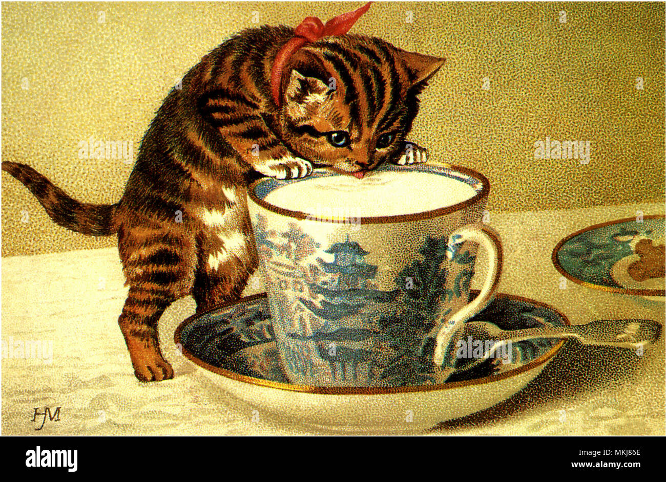 Cat and milk and humor hi-res stock photography and images - Alamy