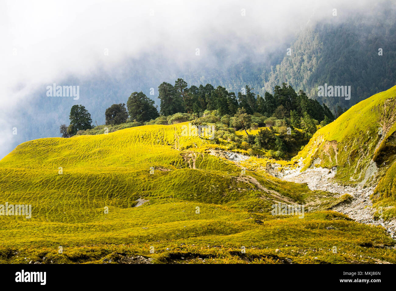 Green meadows of Roopkund, Uttarakhand, India Stock Photo - Alamy