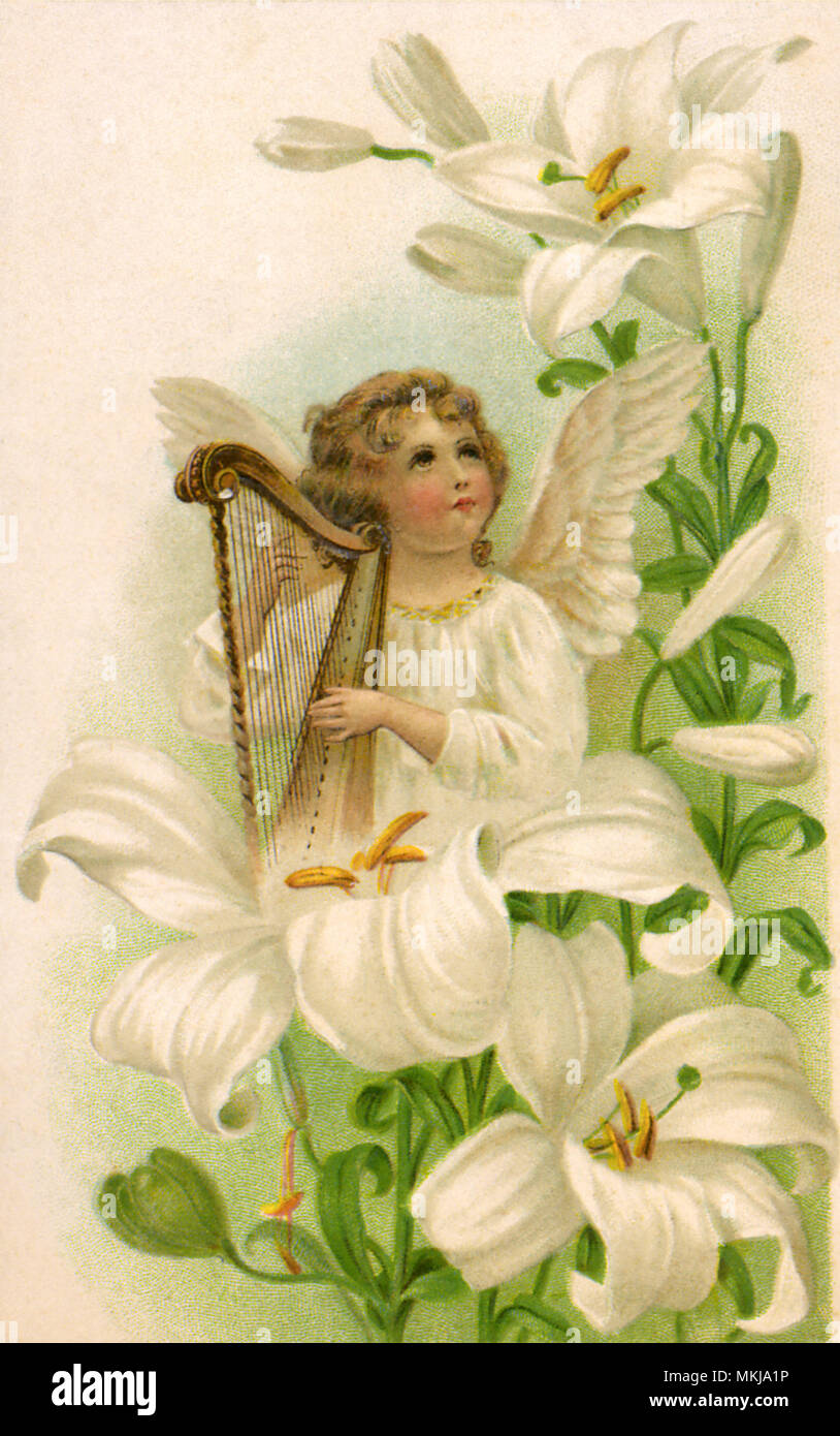 Lilies surrounded hi-res stock photography and images - Alamy