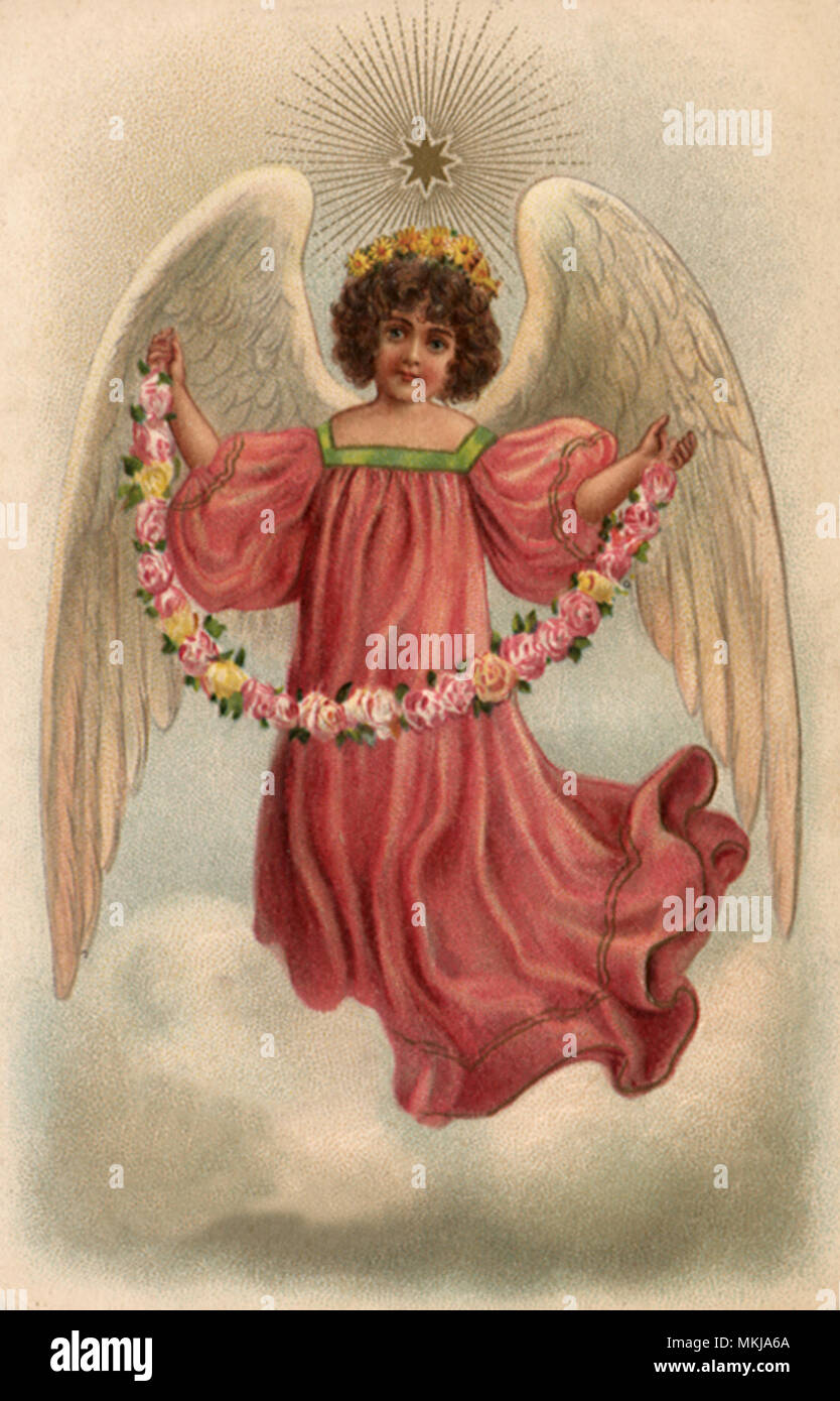 Angel's String of Roses Stock Photo - Alamy