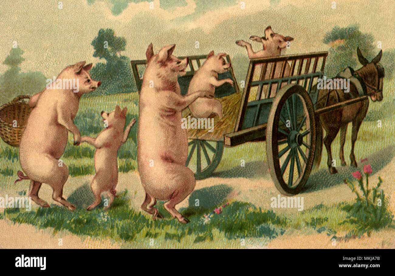 Pigs pulled hi-res stock photography and images - Alamy