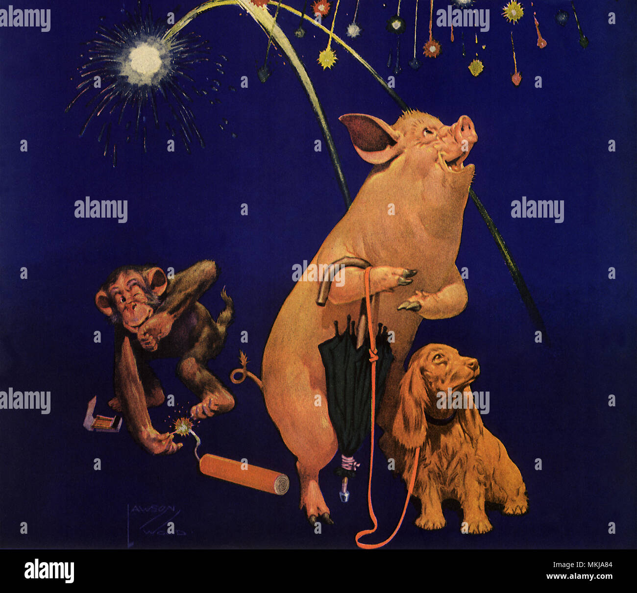 Pig with fireworks hi-res stock photography and images - Alamy