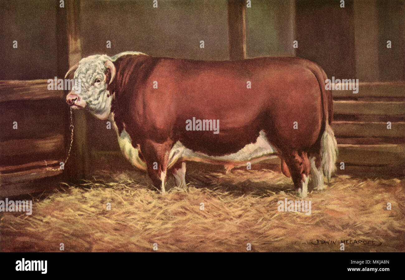 Wooden post stands hi-res stock photography and images - Alamy