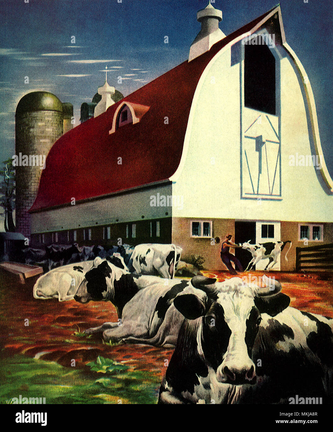 Cows on Farm Stock Photo - Alamy