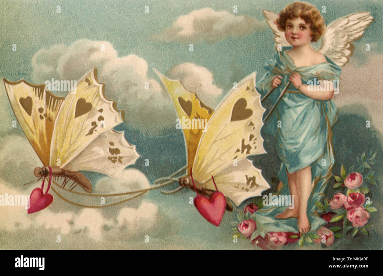 Very large butterflies hi-res stock photography and images - Alamy