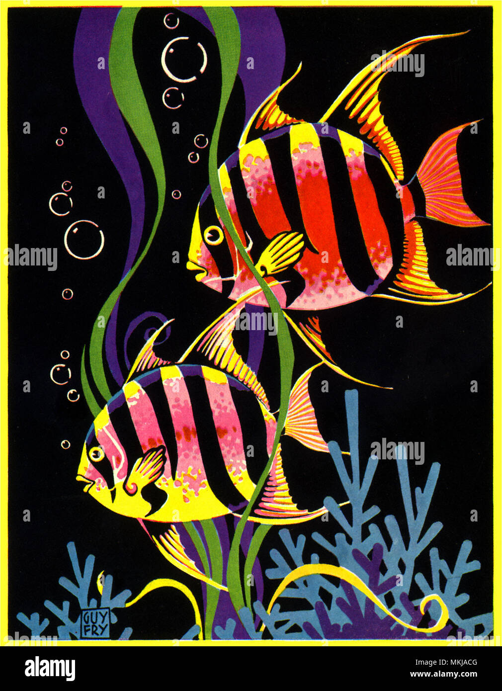Fish yellow black striped illustration hi-res stock photography and ...