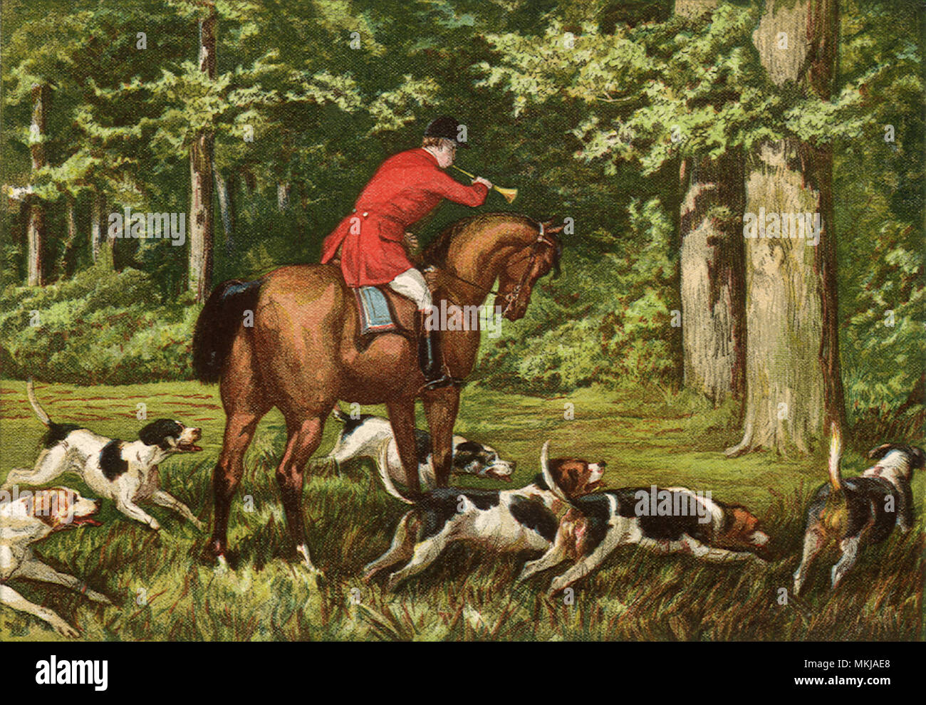 Huntsman and Hounds Stock Photo - Alamy