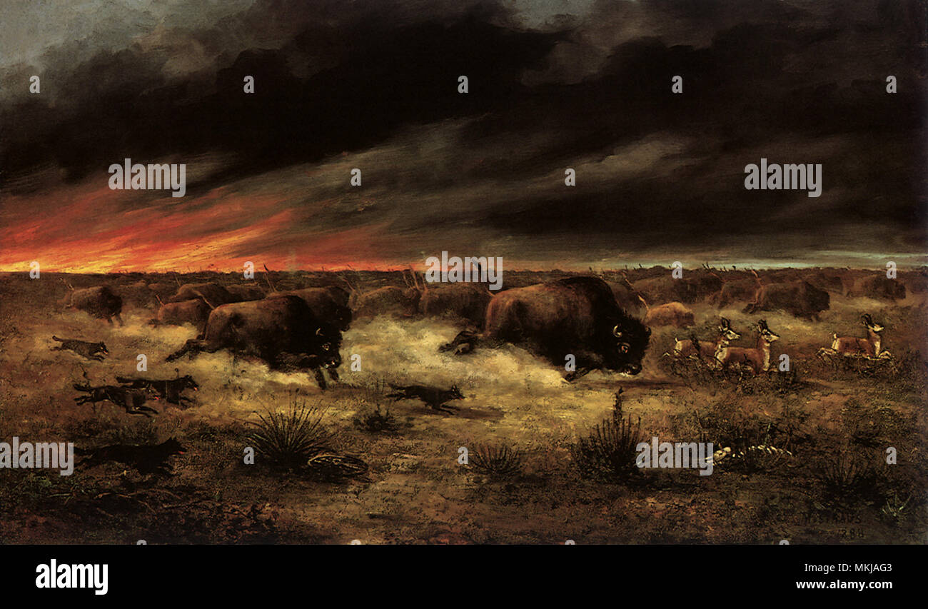 Animals Fleeing Fire Stock Photo - Alamy