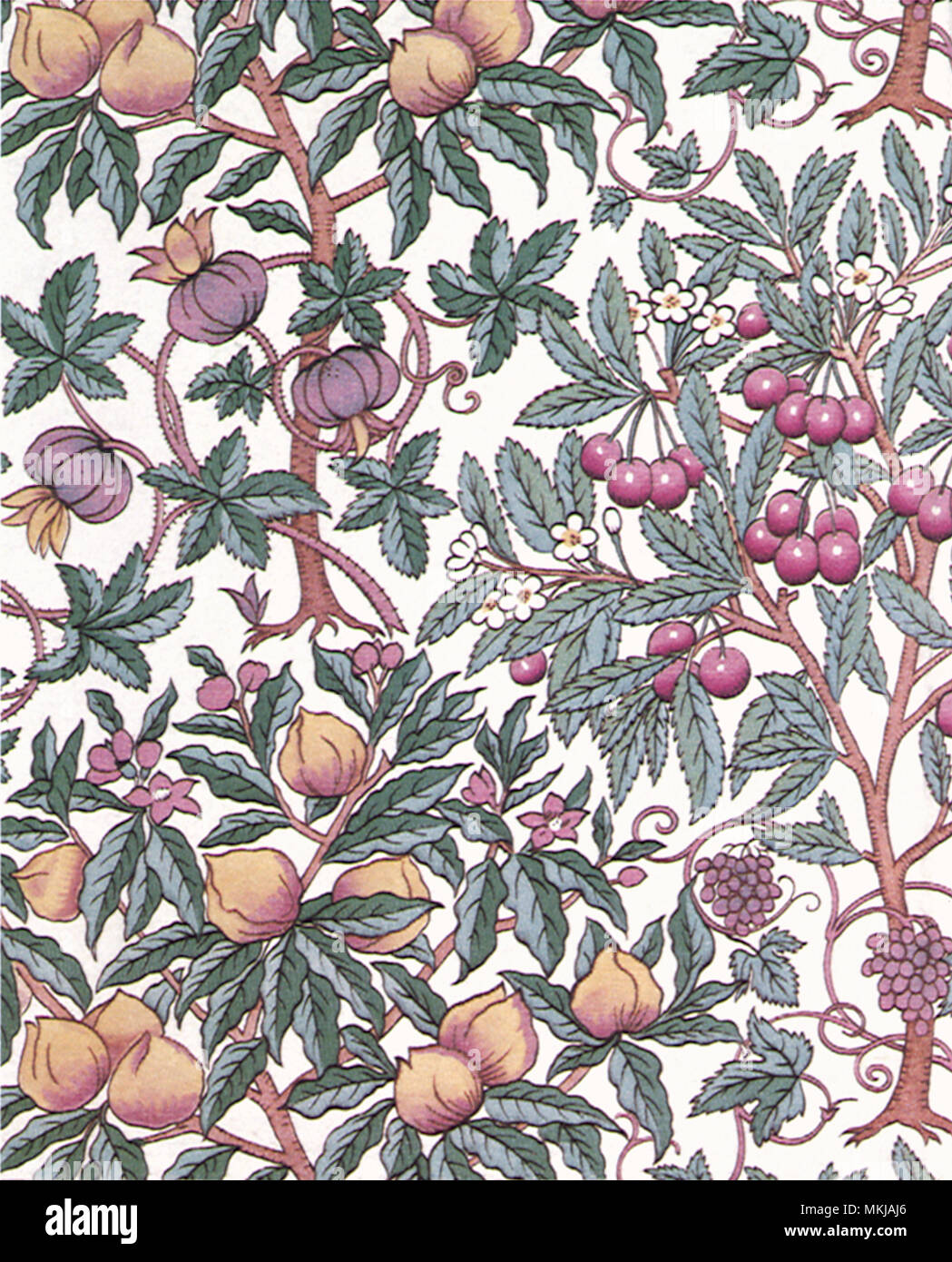 Fruit Tree Pattern Stock Photo - Alamy