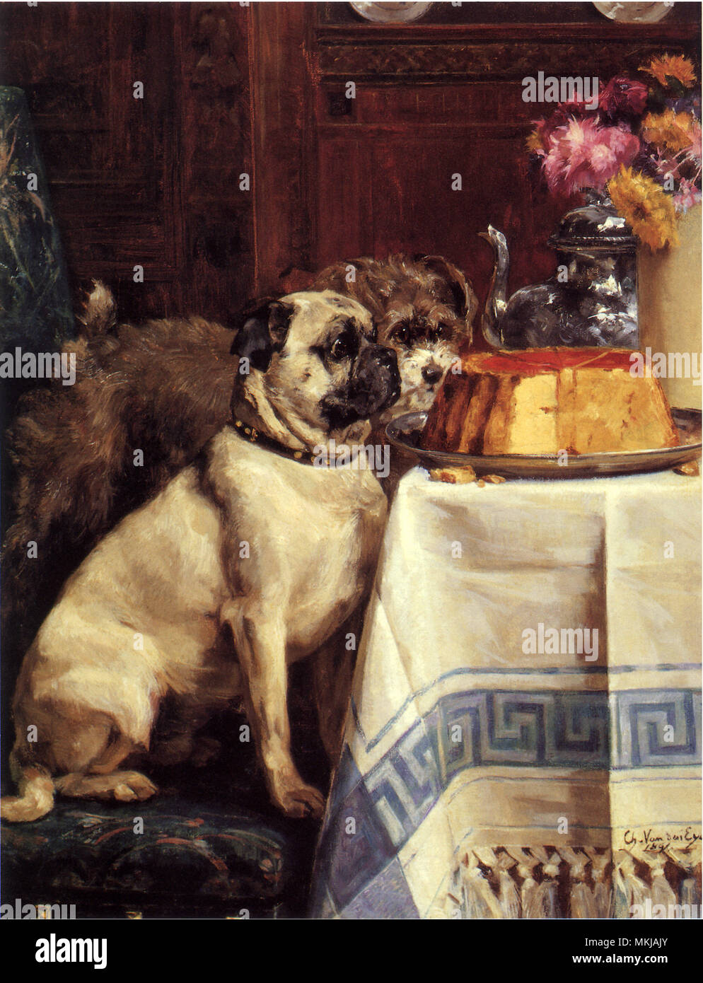 Two dogs stare hi-res stock photography and images - Alamy