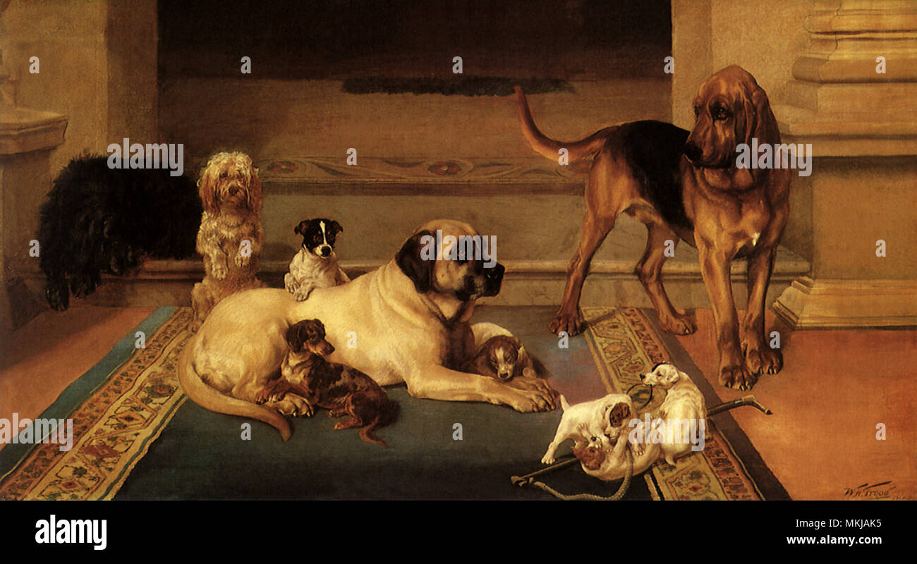 Classical domestic scene hi-res stock photography and images - Alamy