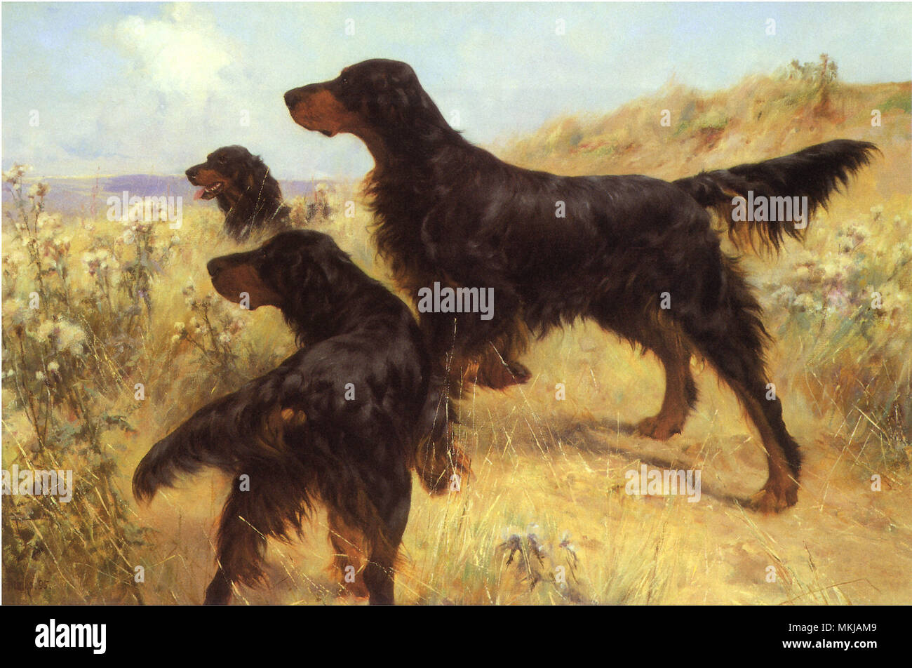 Point setters hi-res stock photography and images - Alamy