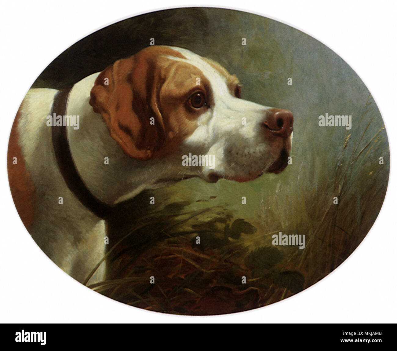 Nostalgic bird paintings hi-res stock photography and images - Alamy