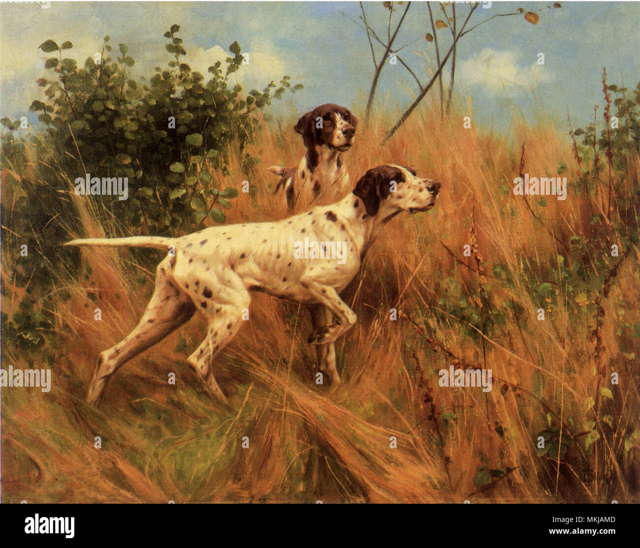 Critter hunt hi-res stock photography and images - Alamy