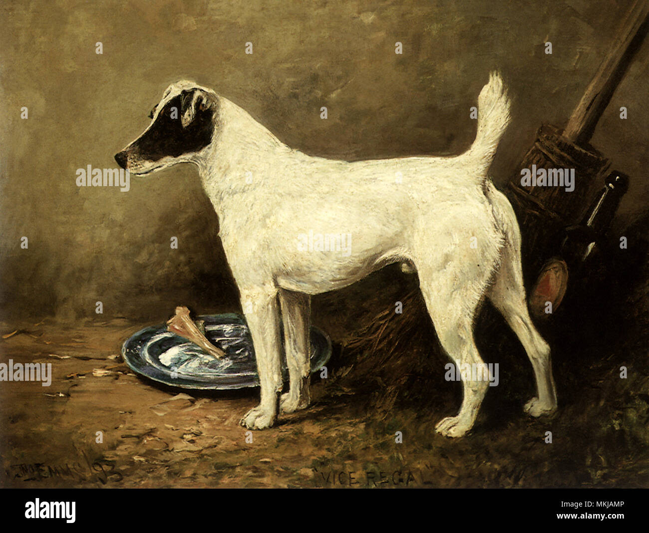 Vice animal hi-res stock photography and images - Alamy