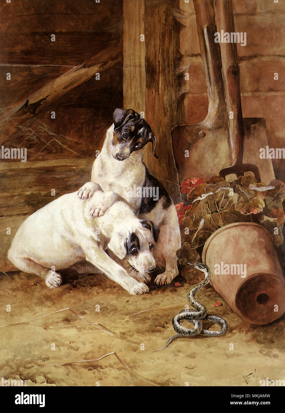Canine snake hi-res stock photography and images - Alamy