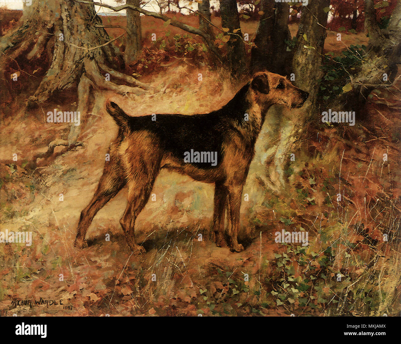 Of dumbarton hi-res stock photography and images - Alamy