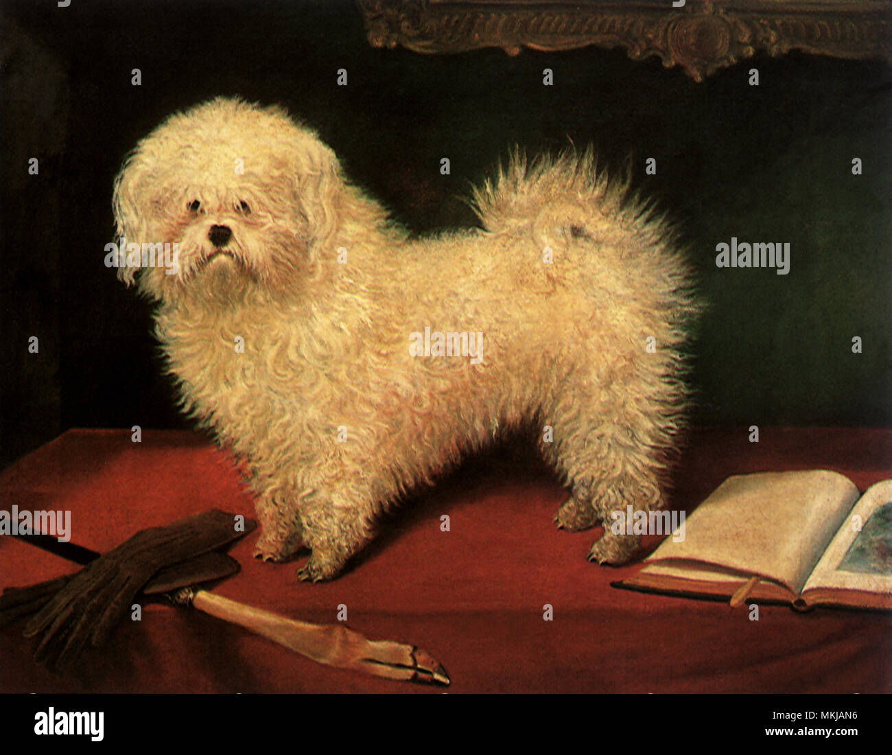 Table covered cloth hi-res stock photography and images - Alamy