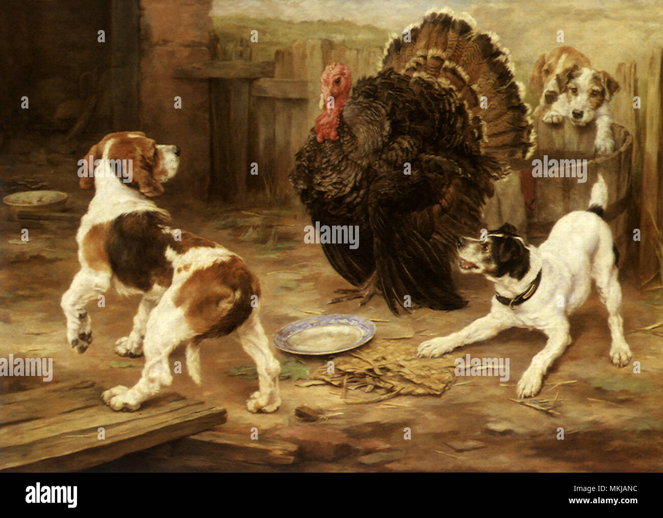 Barn Yard Friends Stock Photo - Alamy