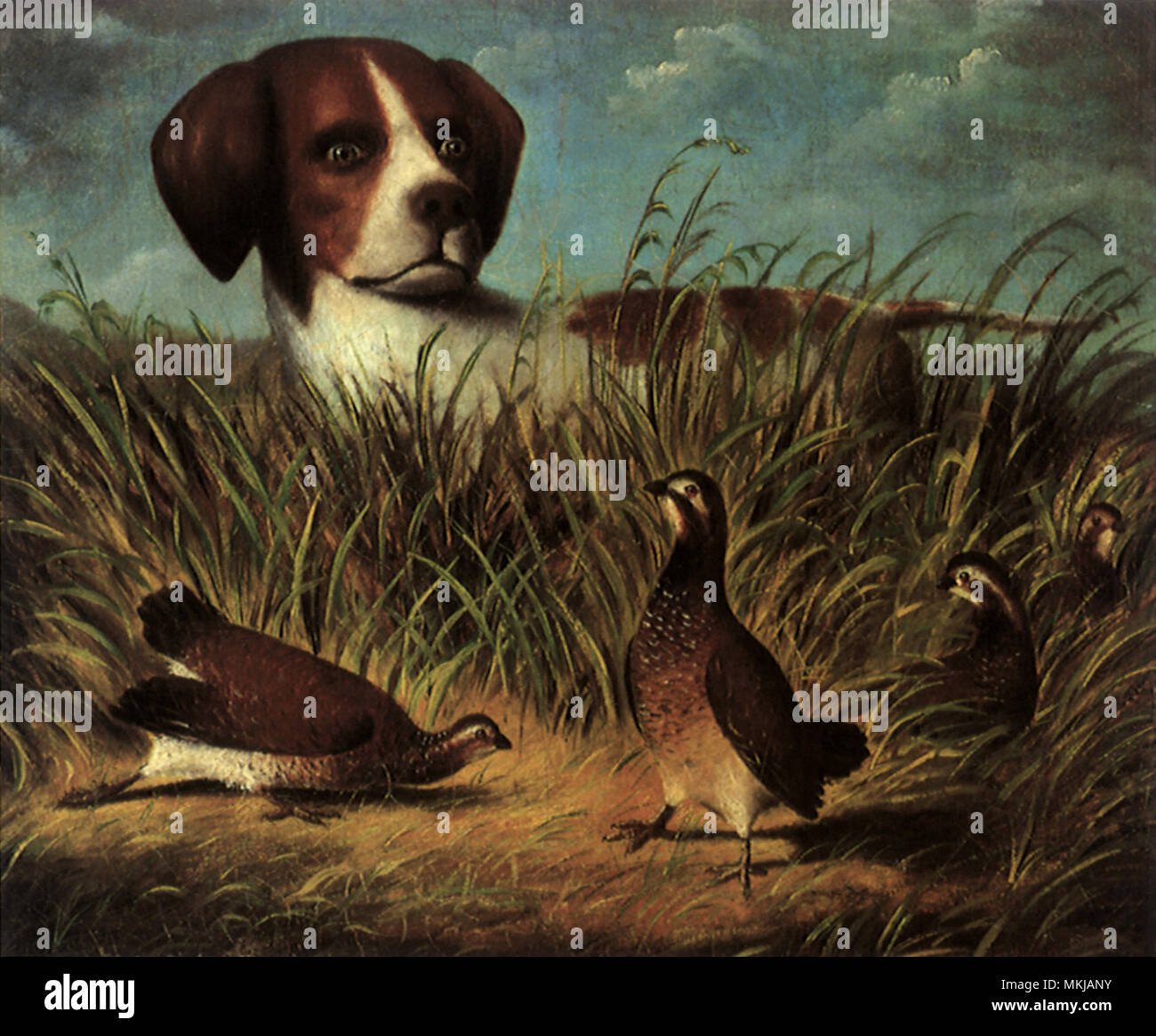 Point dogs hi-res stock photography and images - Alamy