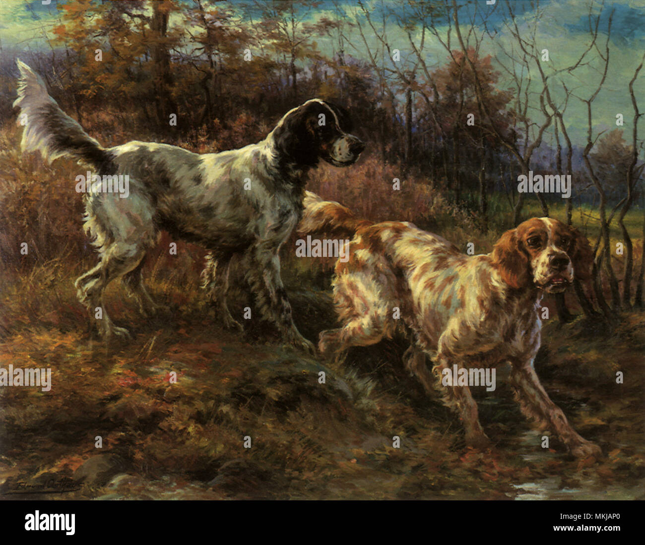 Point setters hi-res stock photography and images - Alamy