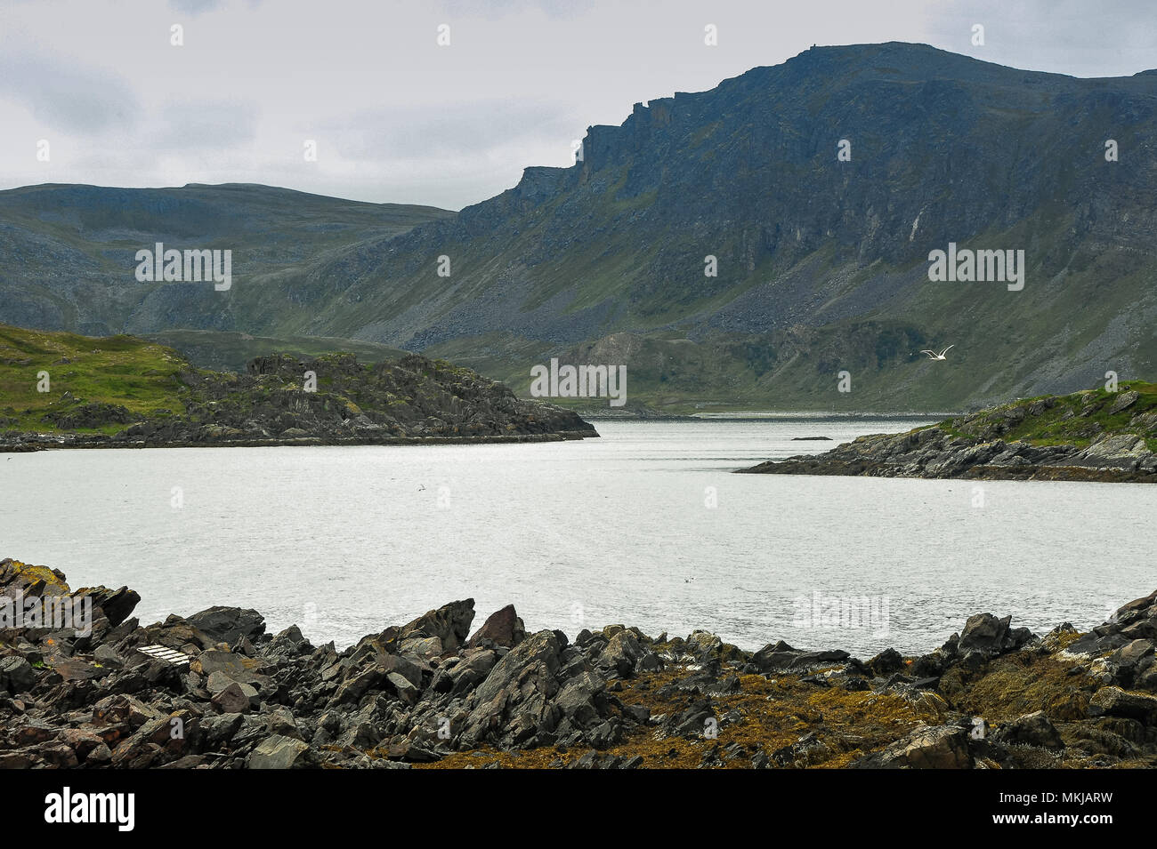 Beautiful Nordic landscape, Mageroya Island, Nordkapp, Norway. Rugged ...