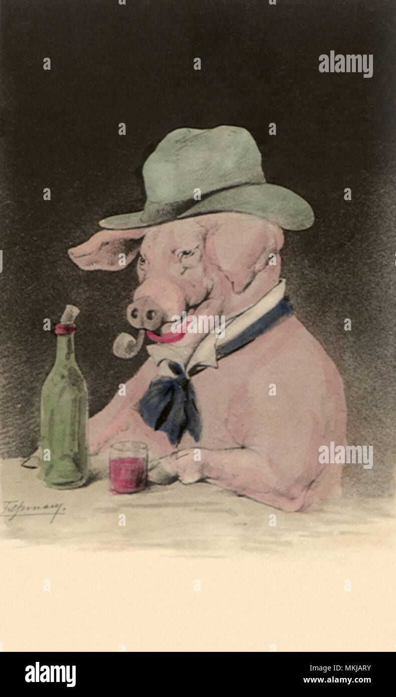 Pig Drinking and Smoking Stock Photo - Alamy
