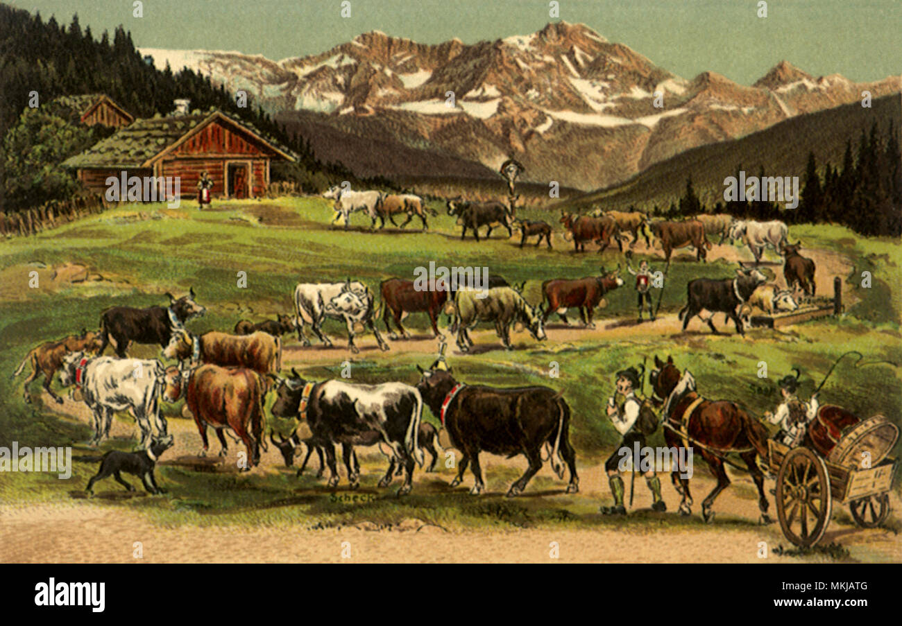 Mountain Cows of Europe Stock Photo - Alamy