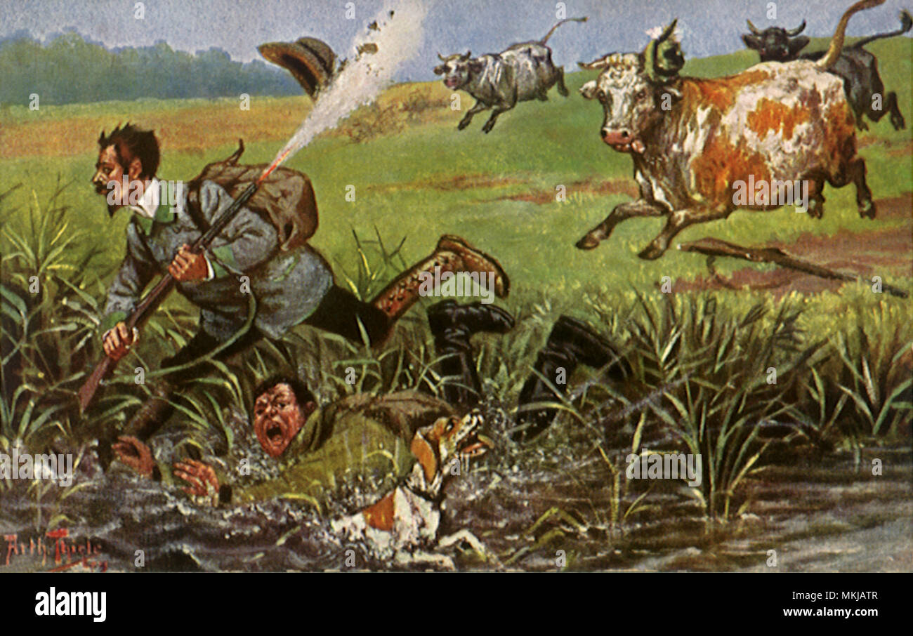 Fleeing animal hi-res stock photography and images - Alamy