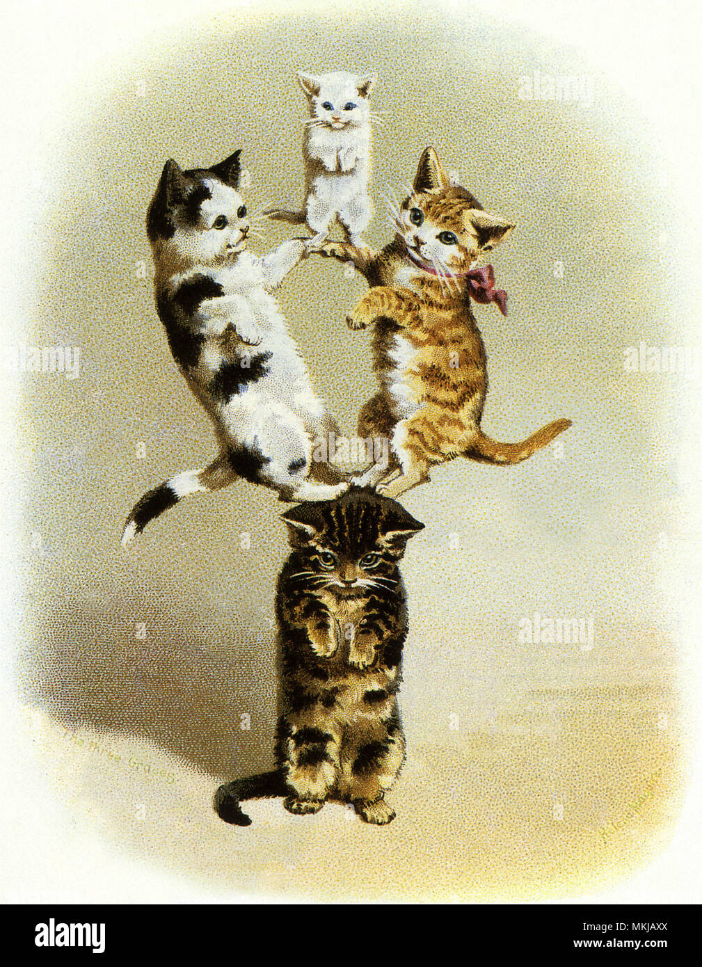 Cats Balancing on Cat Stock Photo - Alamy
