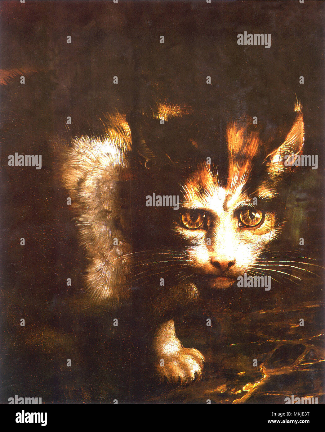 Frightened beast hi-res stock photography and images - Alamy