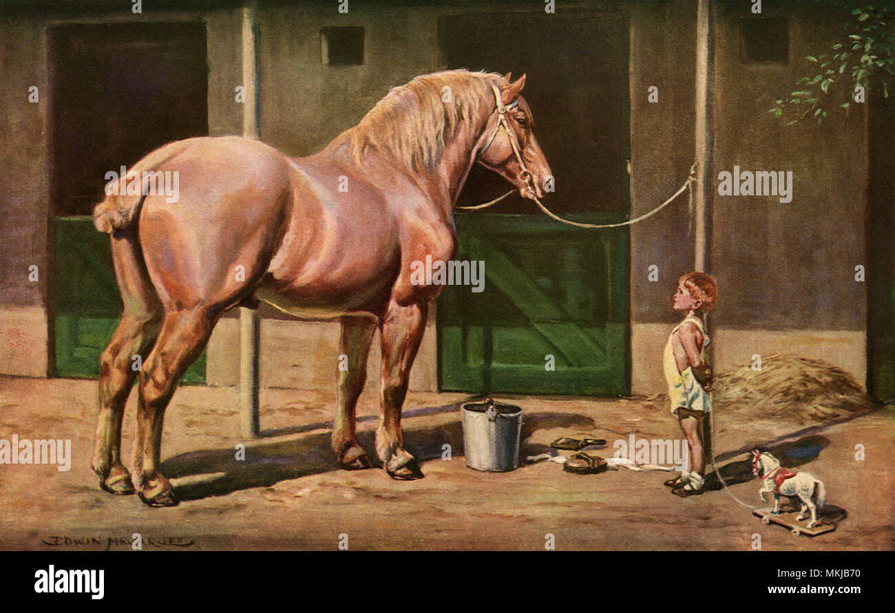 Boy and Horse Take Stock Stock Photo - Alamy