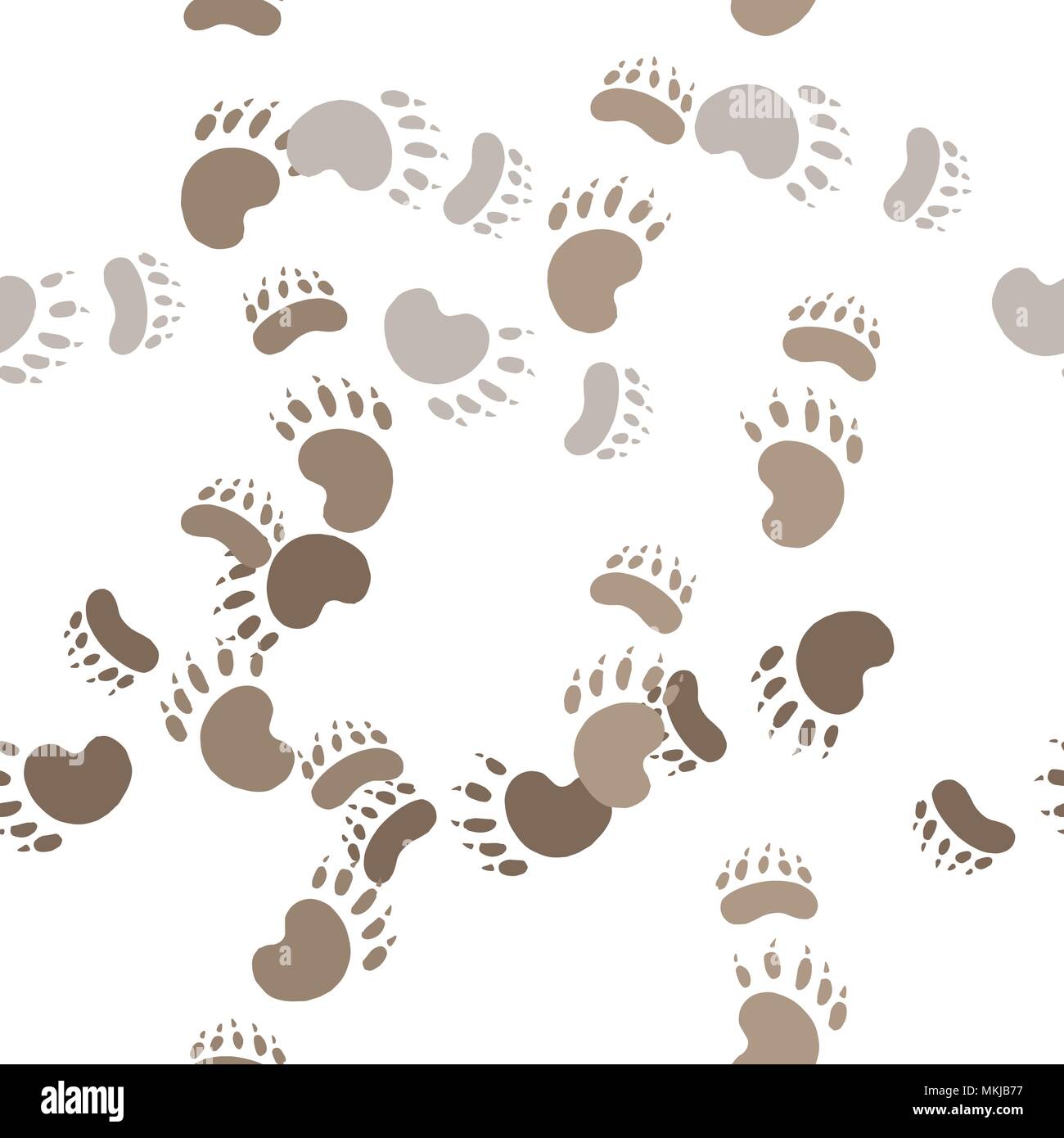 Bear Footprint High Resolution Stock Photography and Images - Alamy