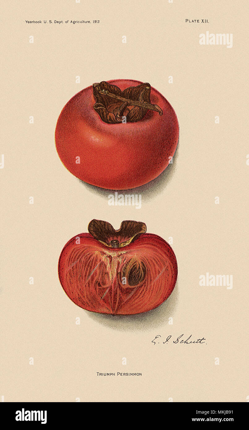 Triumph of the cross hi-res stock photography and images - Alamy