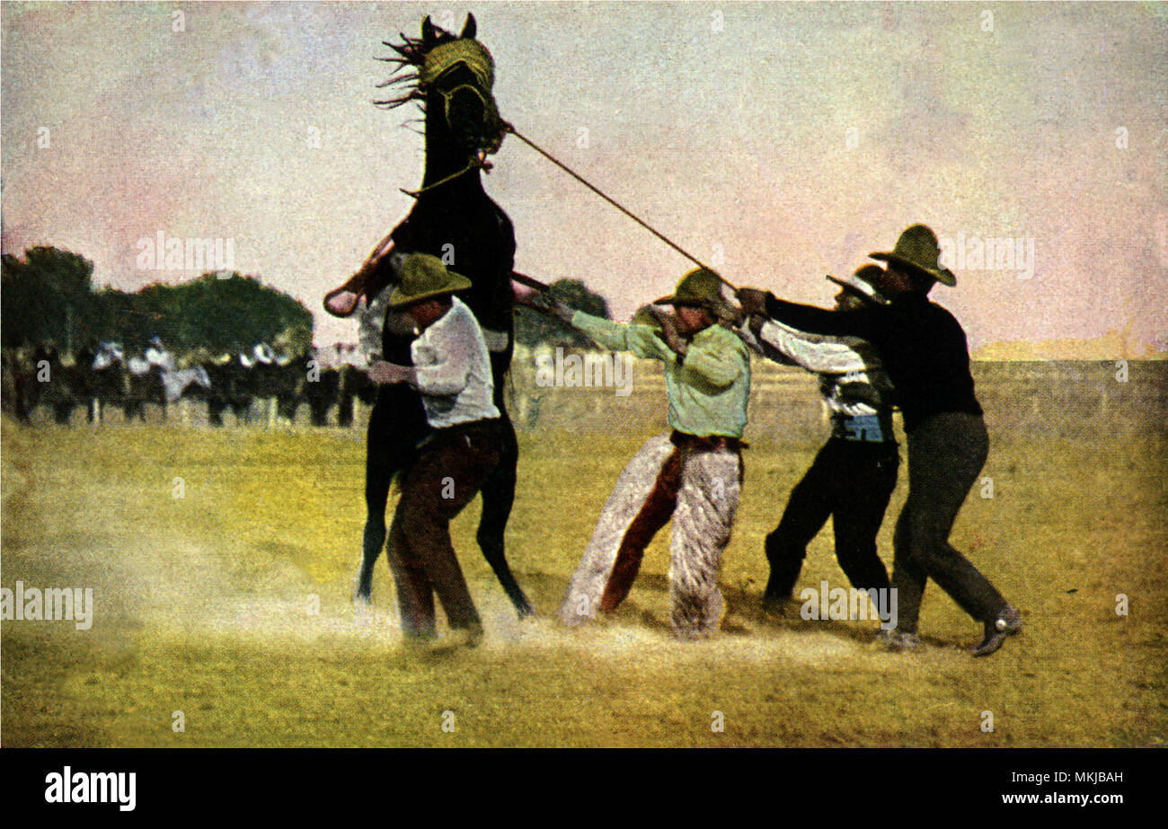 Horse rearing cowboy hi-res stock photography and images - Alamy