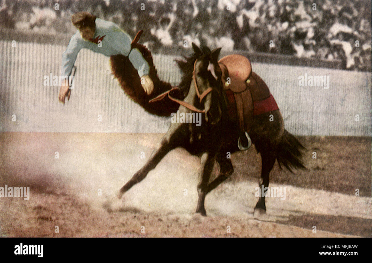 Cowboy Bucked Off Stock Photo - Alamy