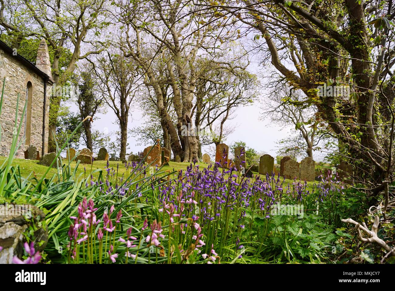 Ballaugh Old Church, Ballaugh, Isle of Mas Stock Photo - Alamy