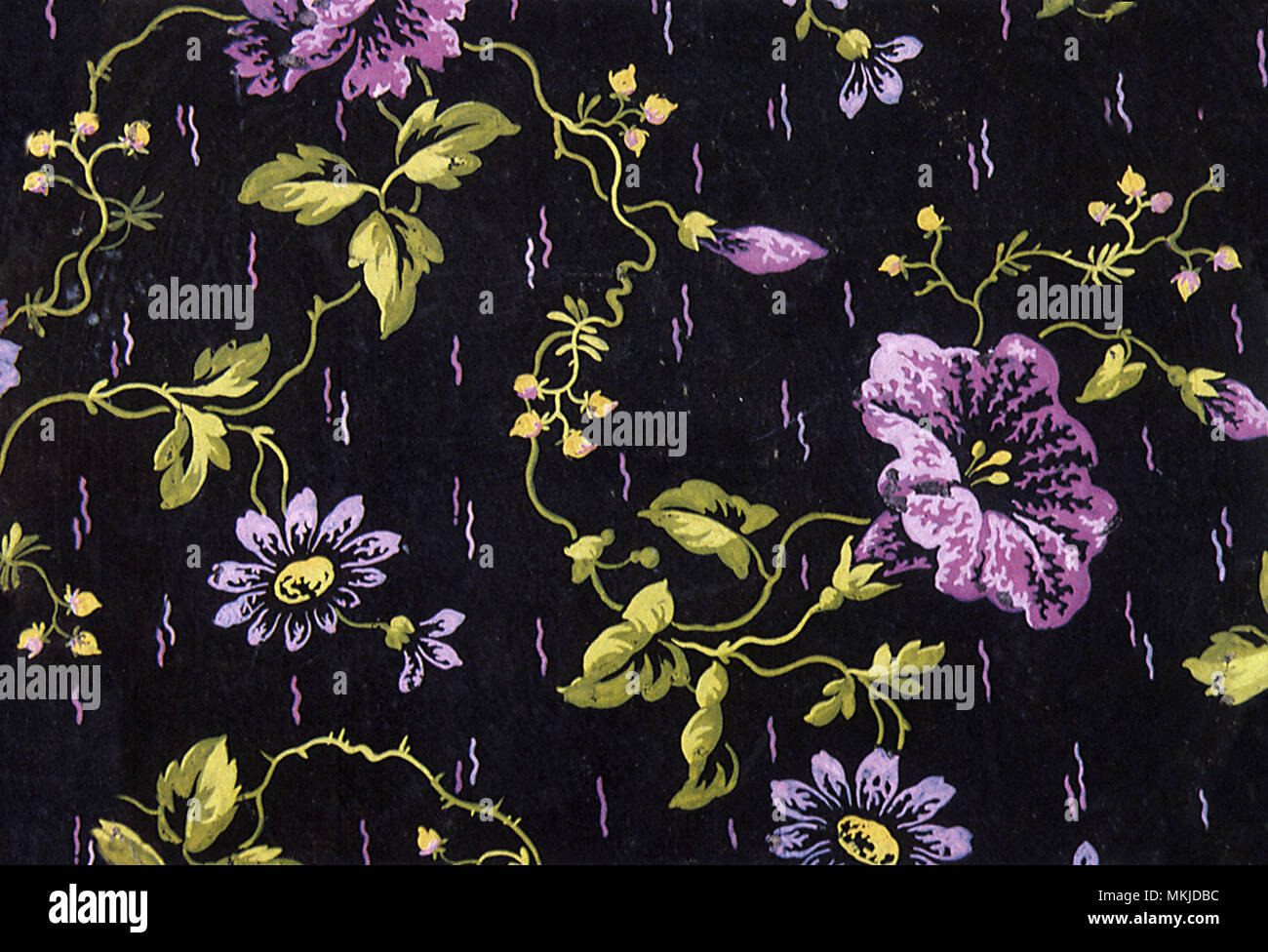 Purple flowers with stringy green stems on a field of black Stock Photo ...