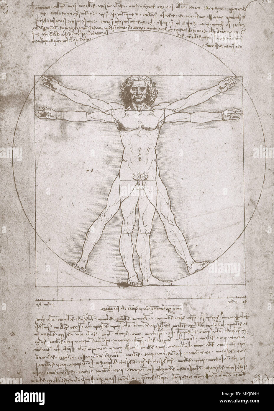 Vitruvius hi-res stock photography and images - Alamy