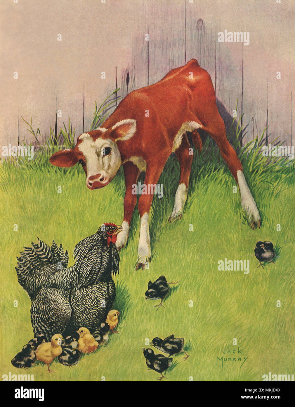 Vintage farm chickens hi-res stock photography and images - Alamy