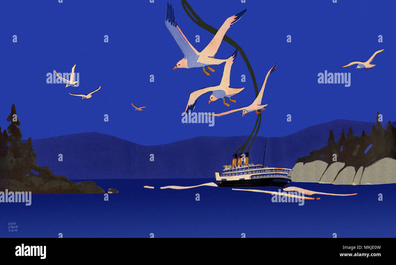 Ship following birds hi-res stock photography and images - Alamy