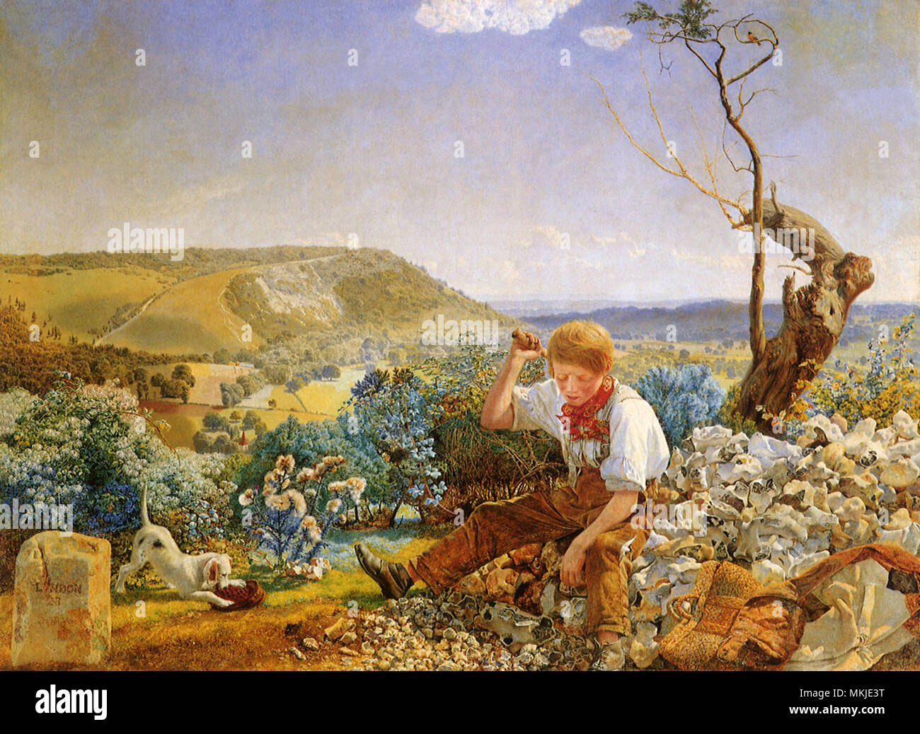 Stonebreaker hi-res stock photography and images - Alamy